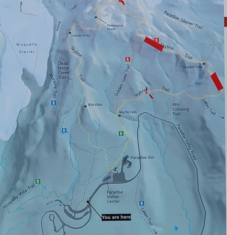 How to Hike the Skyline Loop Trail in Mount Rainier National Park ...