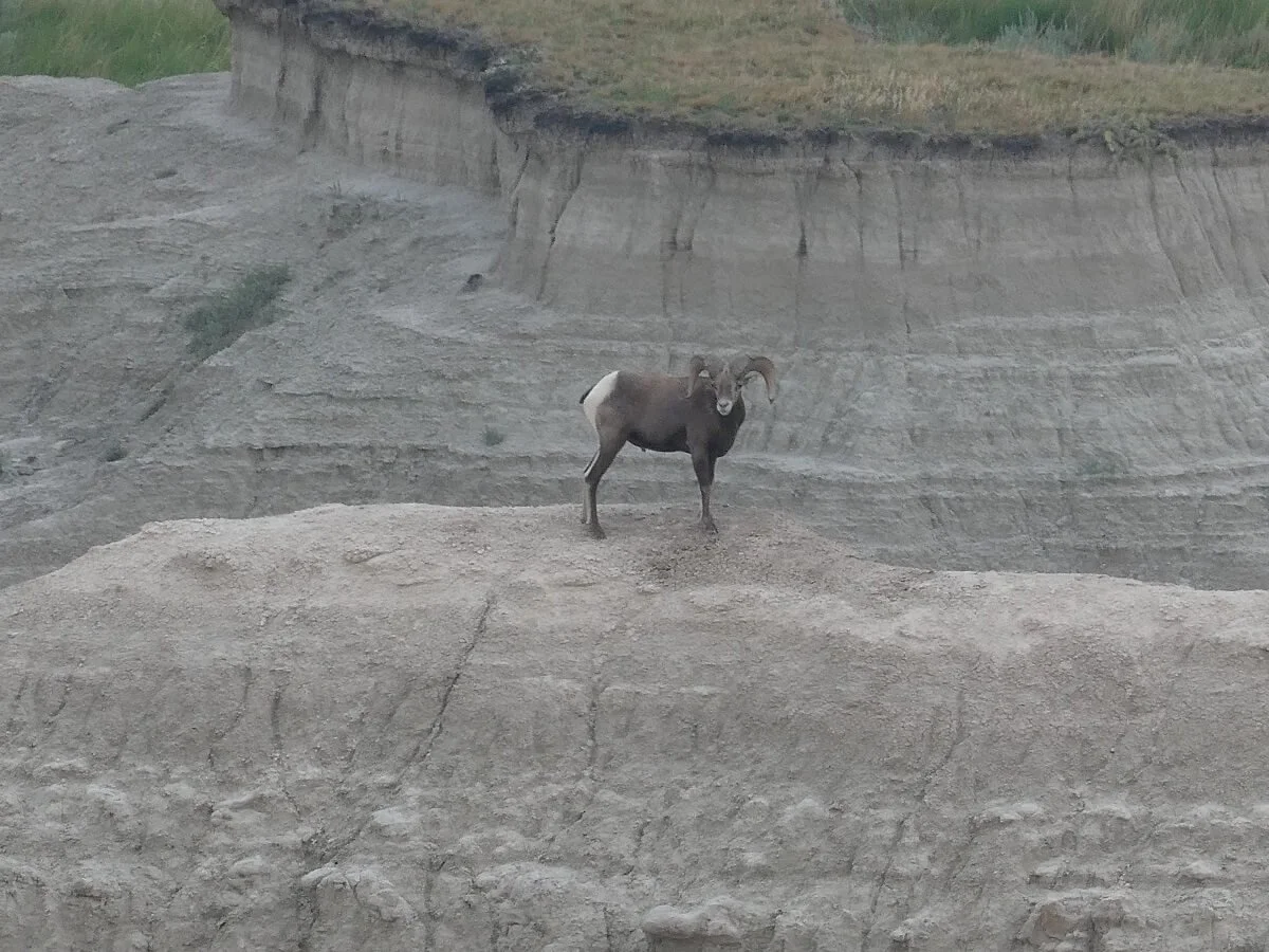 The Best One Day Badlands National Park Itinerary — Dirty Shoes & Epic ...