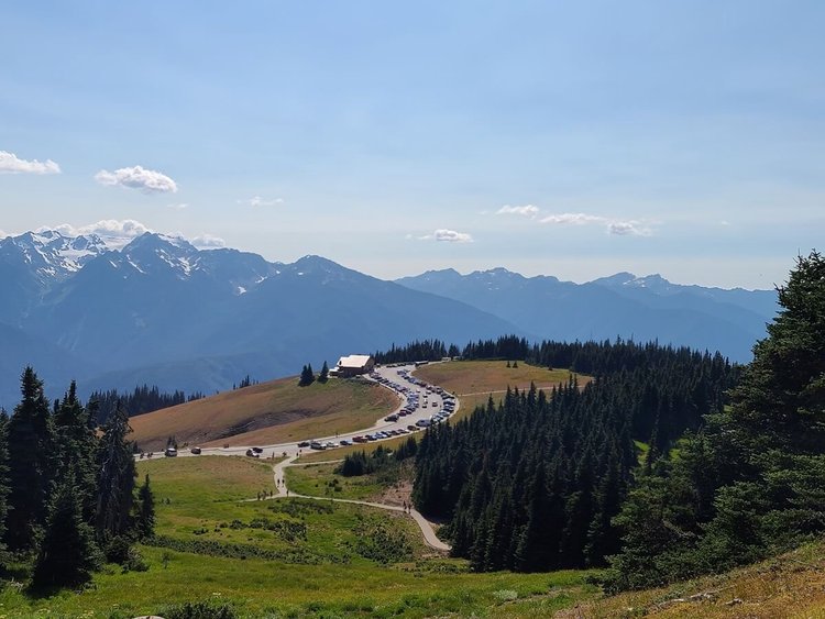 How to Visit Hurricane Ridge in Olympic National Park: The Complete ...