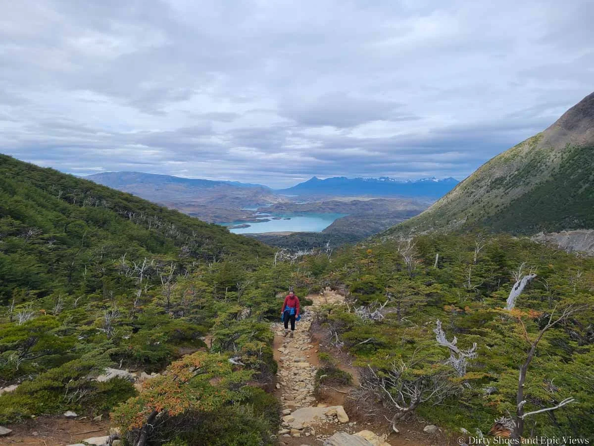 How to Hike the W Trek in Torres del Paine: The Complete Planning Guide ...