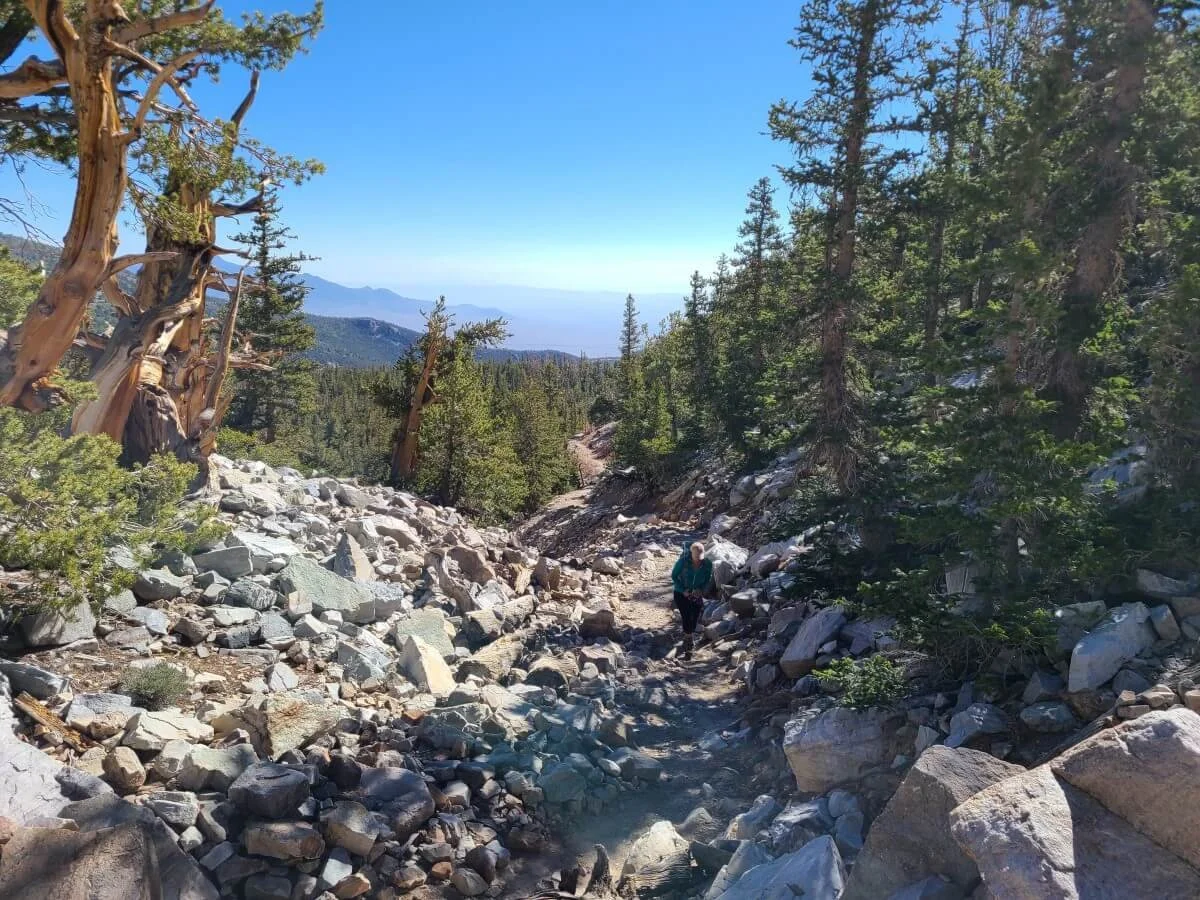 The Best Hike in Great Basin National Park- The Alpine Lakes Loop ...