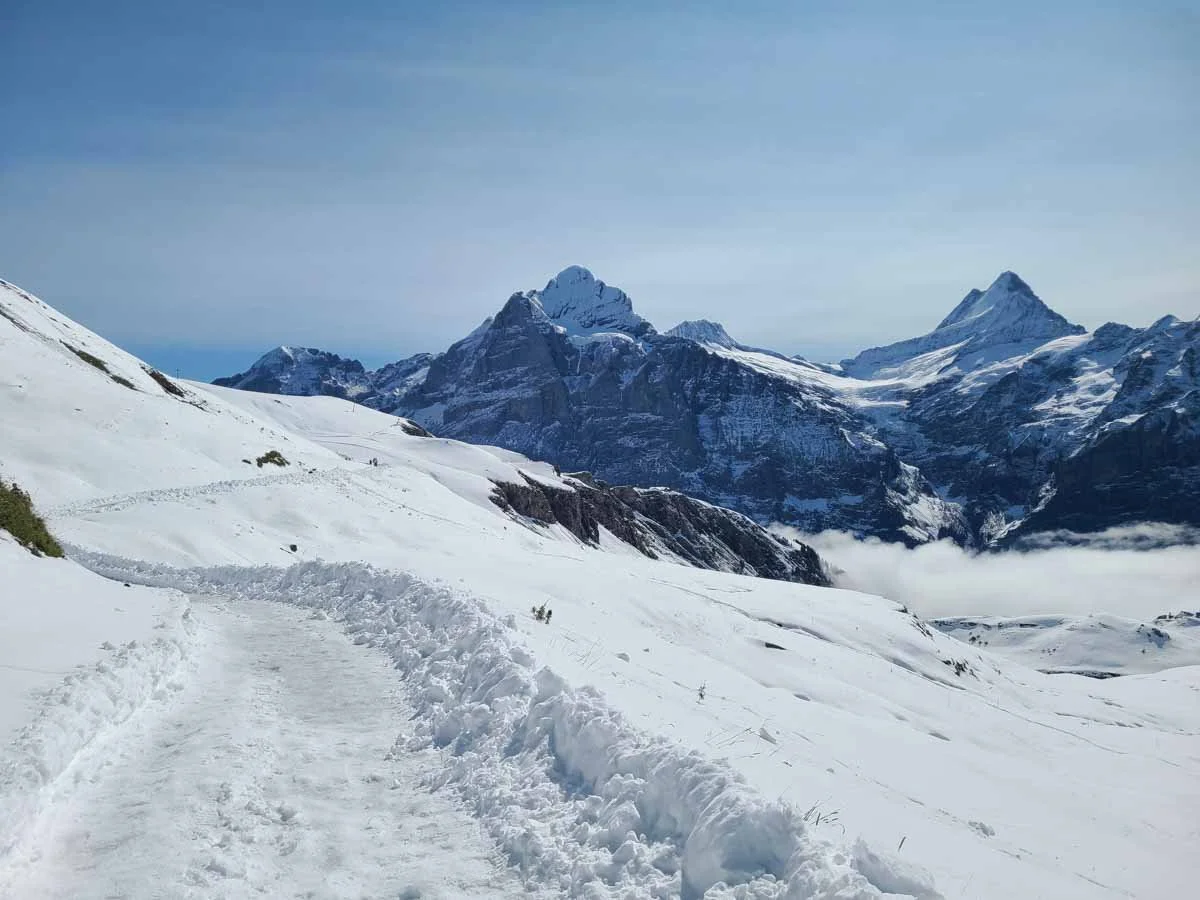 The Perfect 10 Day Alps Itinerary for France and Switzerland: A Day-by ...