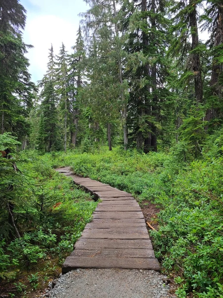 The Park Butte Lookout Trail in Washington (And How to Stay the Night ...