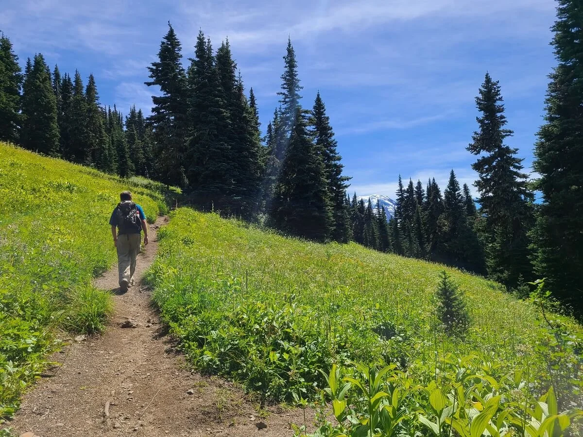 The Skyline Divide Trail: Mount Baker's Best Day Hike — Dirty Shoes ...