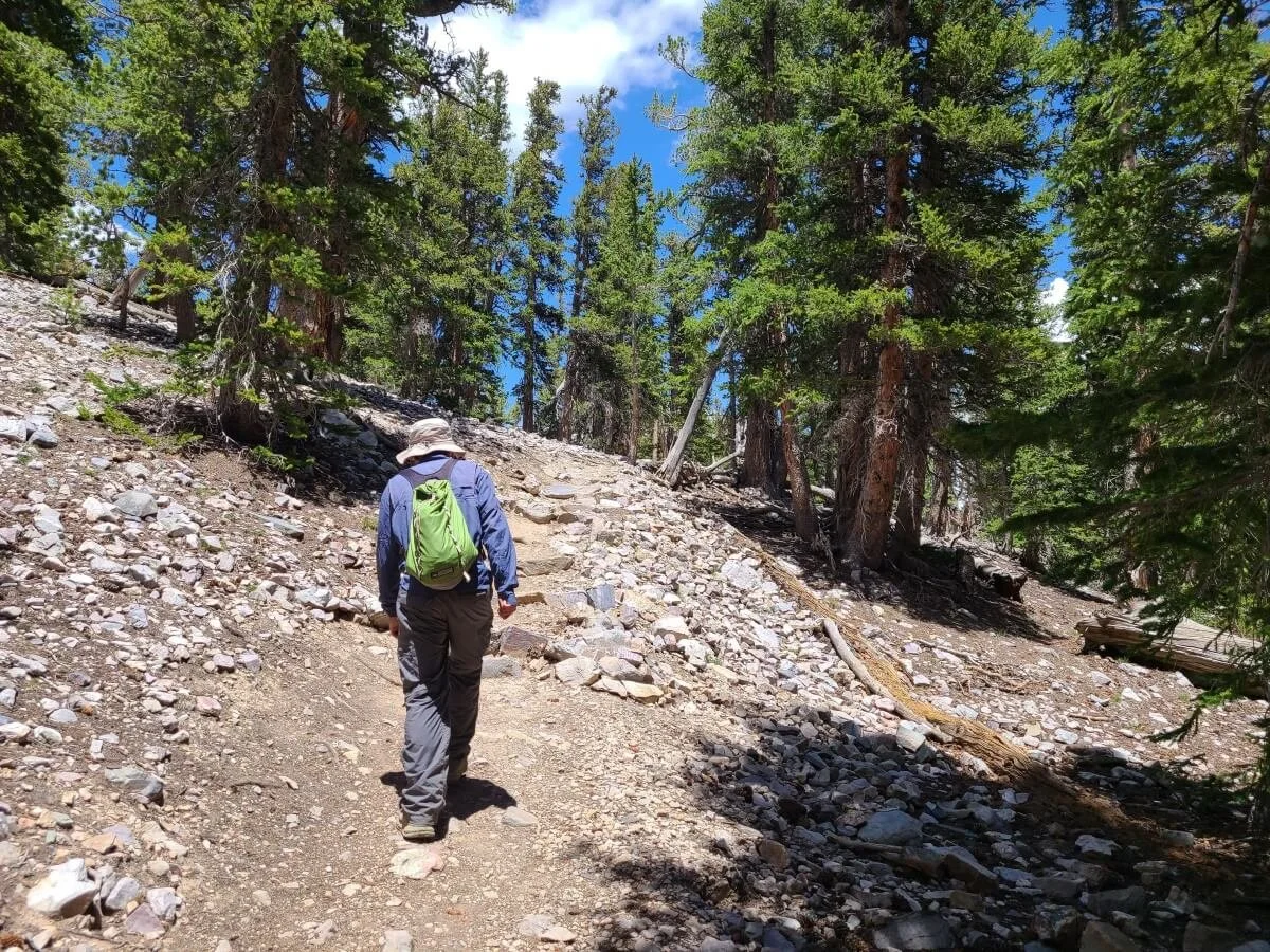 The Best Hike in Great Basin National Park- The Alpine Lakes Loop ...