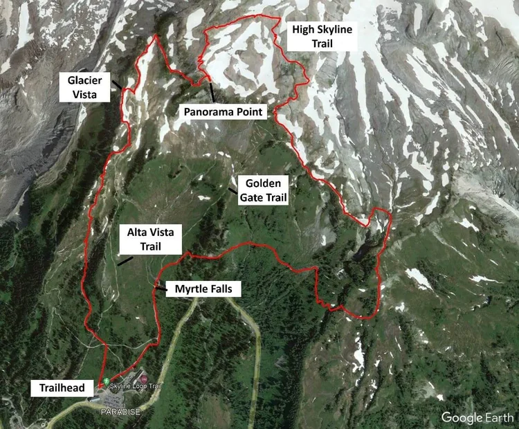 How to Hike the Skyline Loop Trail in Mount Rainier National Park ...