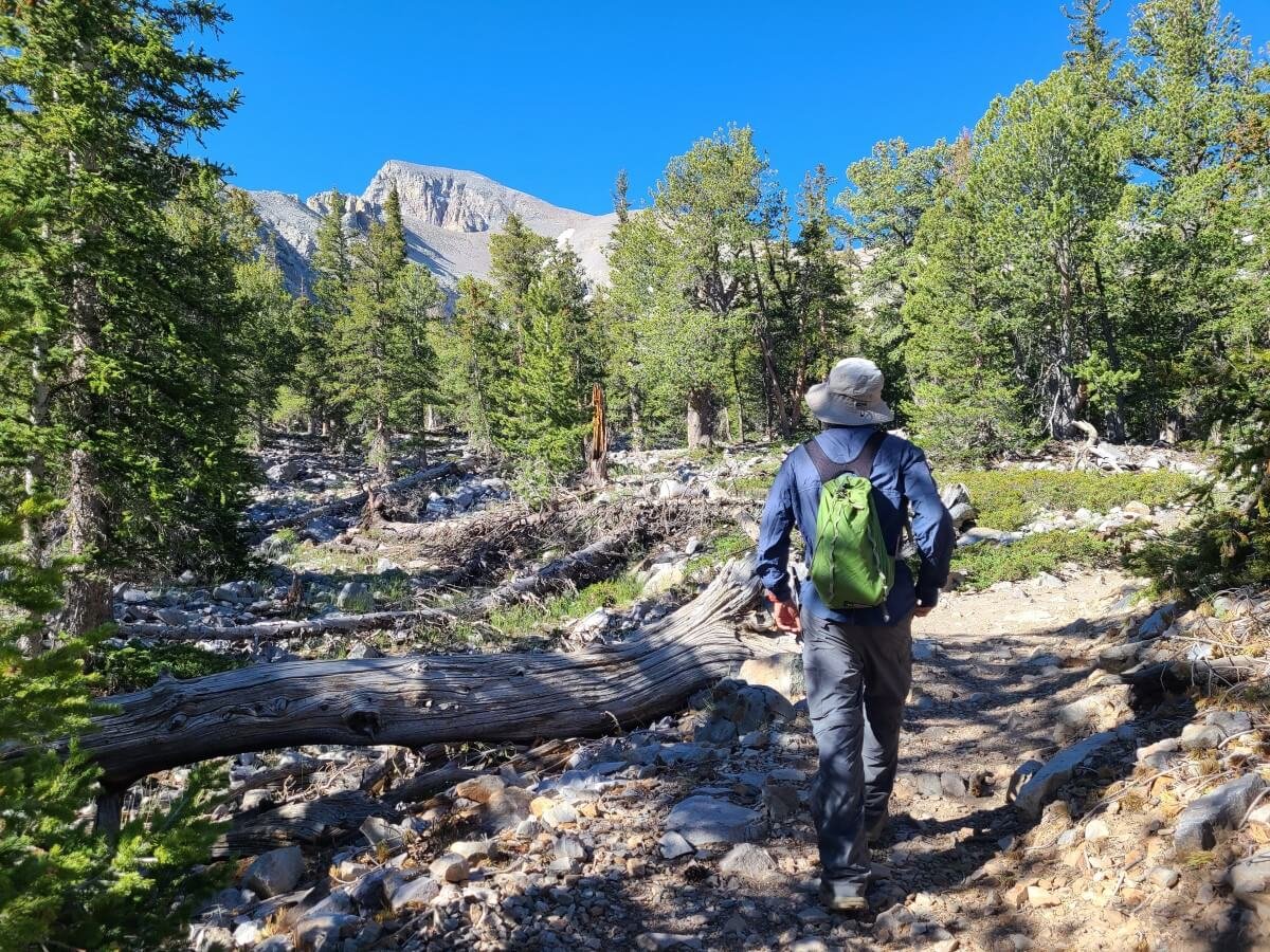 The Best Hike in Great Basin National Park- The Alpine Lakes Loop ...