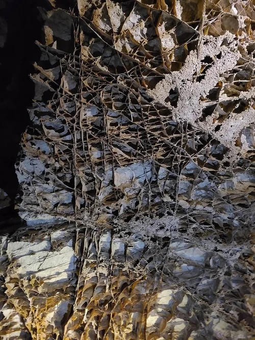 Things to Do in Wind Cave National Park (Plus One Day Wind Cave ...