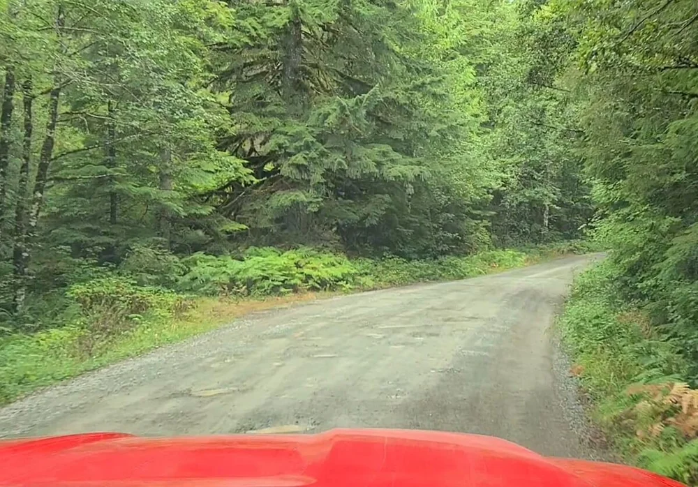 The Park Butte Lookout Trail in Washington (And How to Stay the Night ...