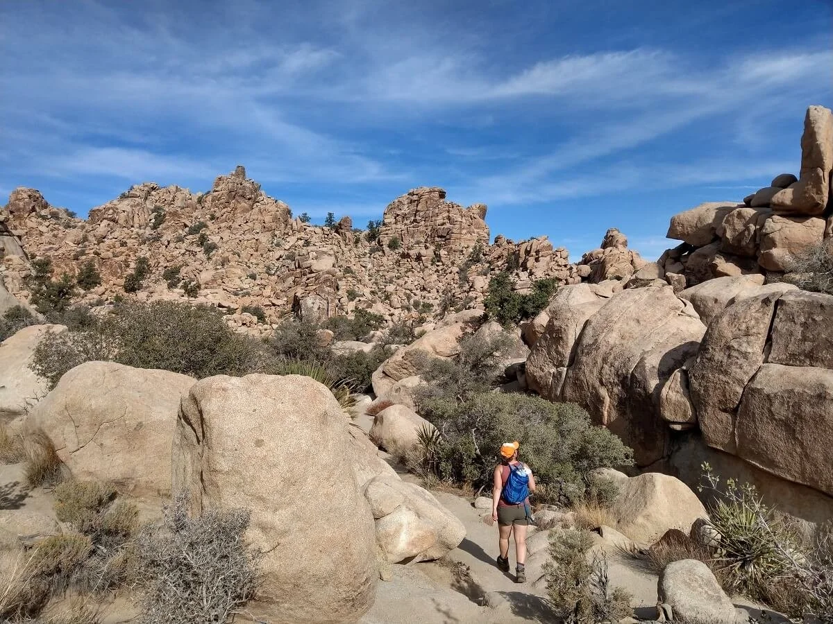 One Day Joshua Tree Itinerary: Plus Map and Tips! — Dirty Shoes & Epic ...