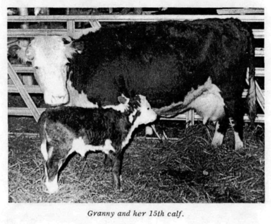 Haden: "Radioactive Cows" — Agricultural History Society
