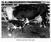 Haden: "Radioactive Cows" — Agricultural History Society