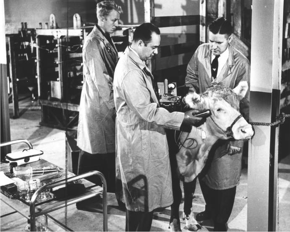 Haden: "Radioactive Cows" — Agricultural History Society