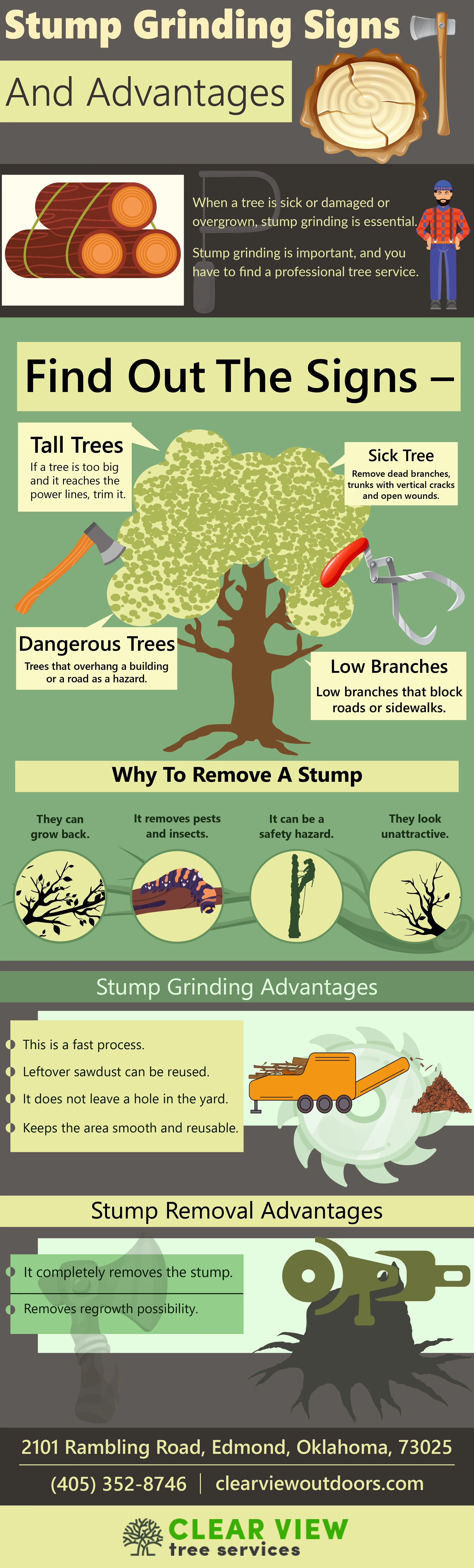 Stump Grinding Signs And Advantages — Clear View Tree Services