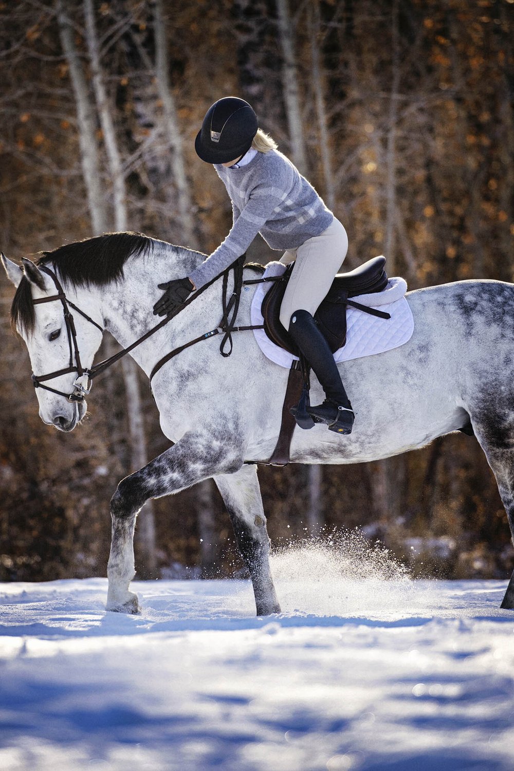 About — Silver Bell Equestrian Center