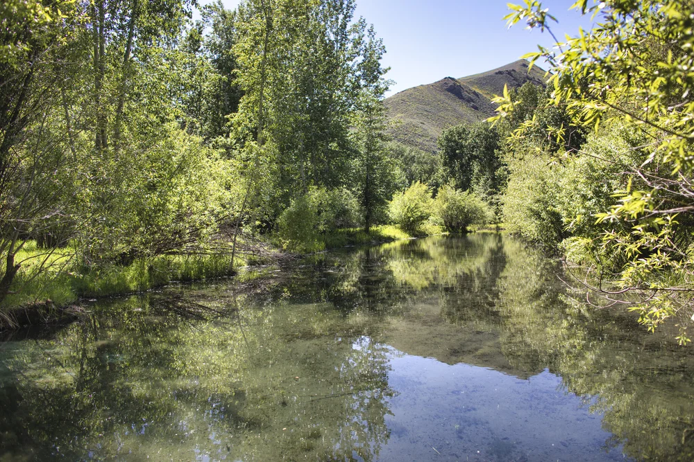About — Silver Bell Equestrian Center