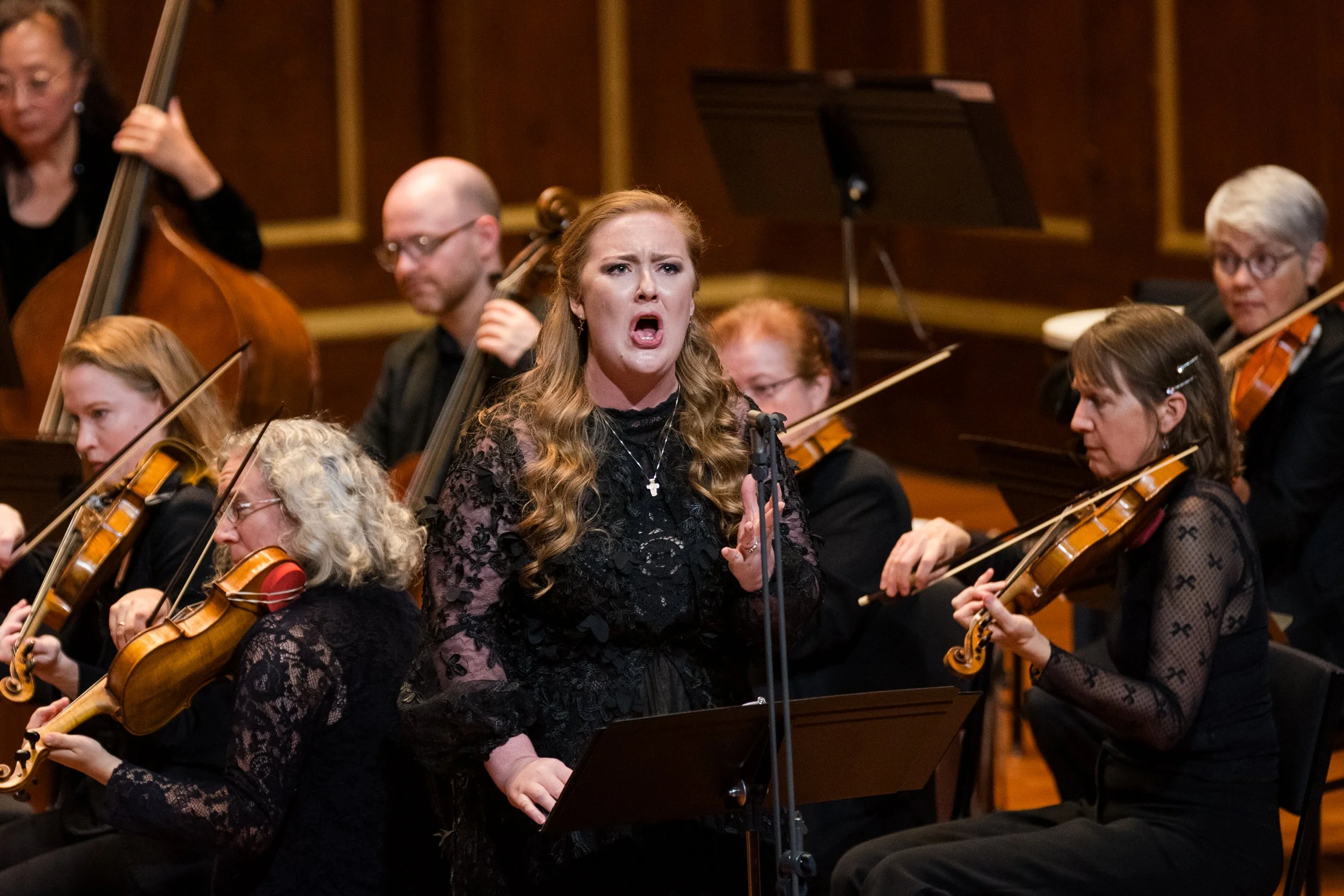 Boston's Premier Baroque Orchestra | Concert Tickets On Sale Now