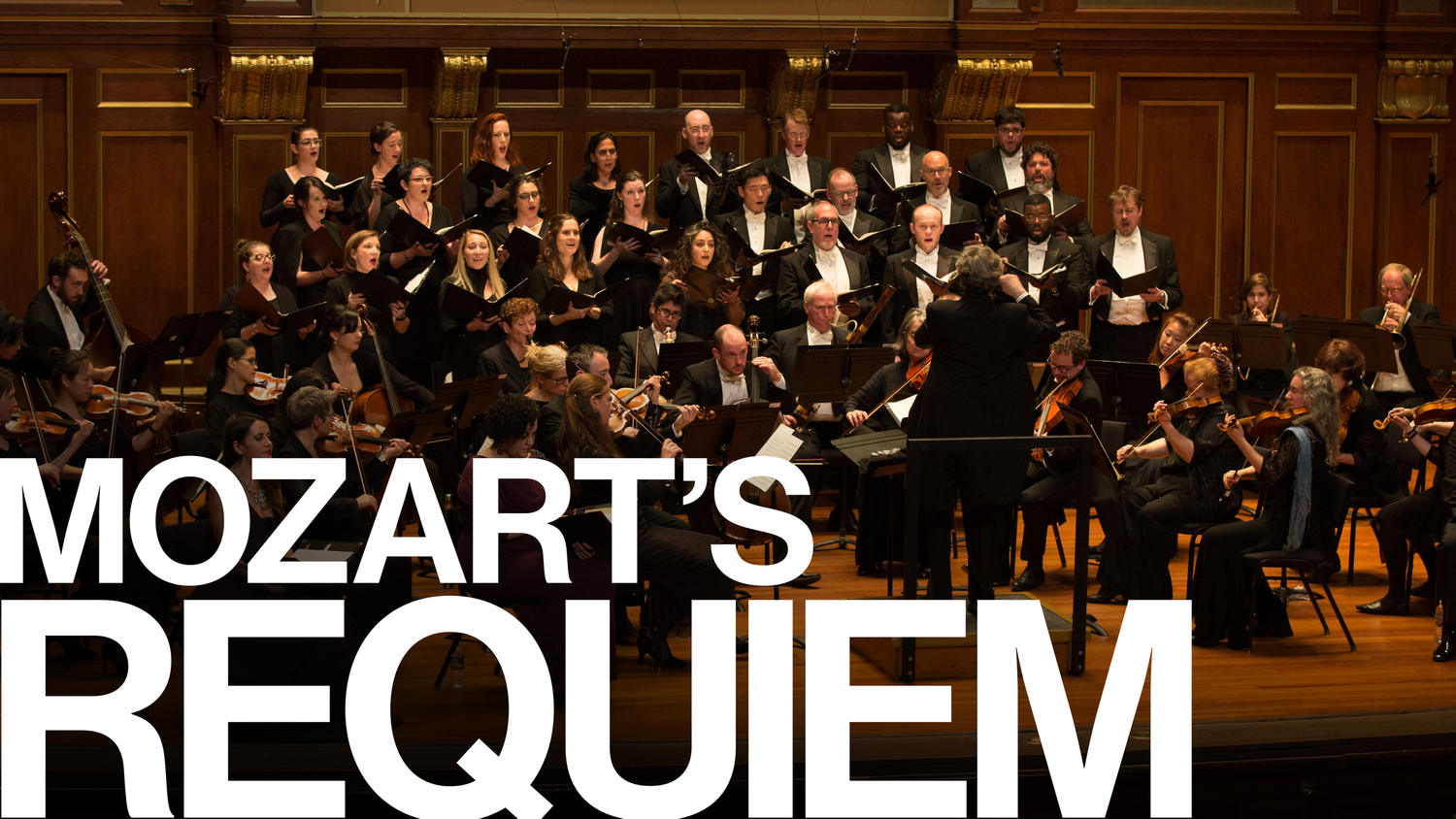 Boston's Premier Baroque Orchestra | Concert Tickets On Sale Now