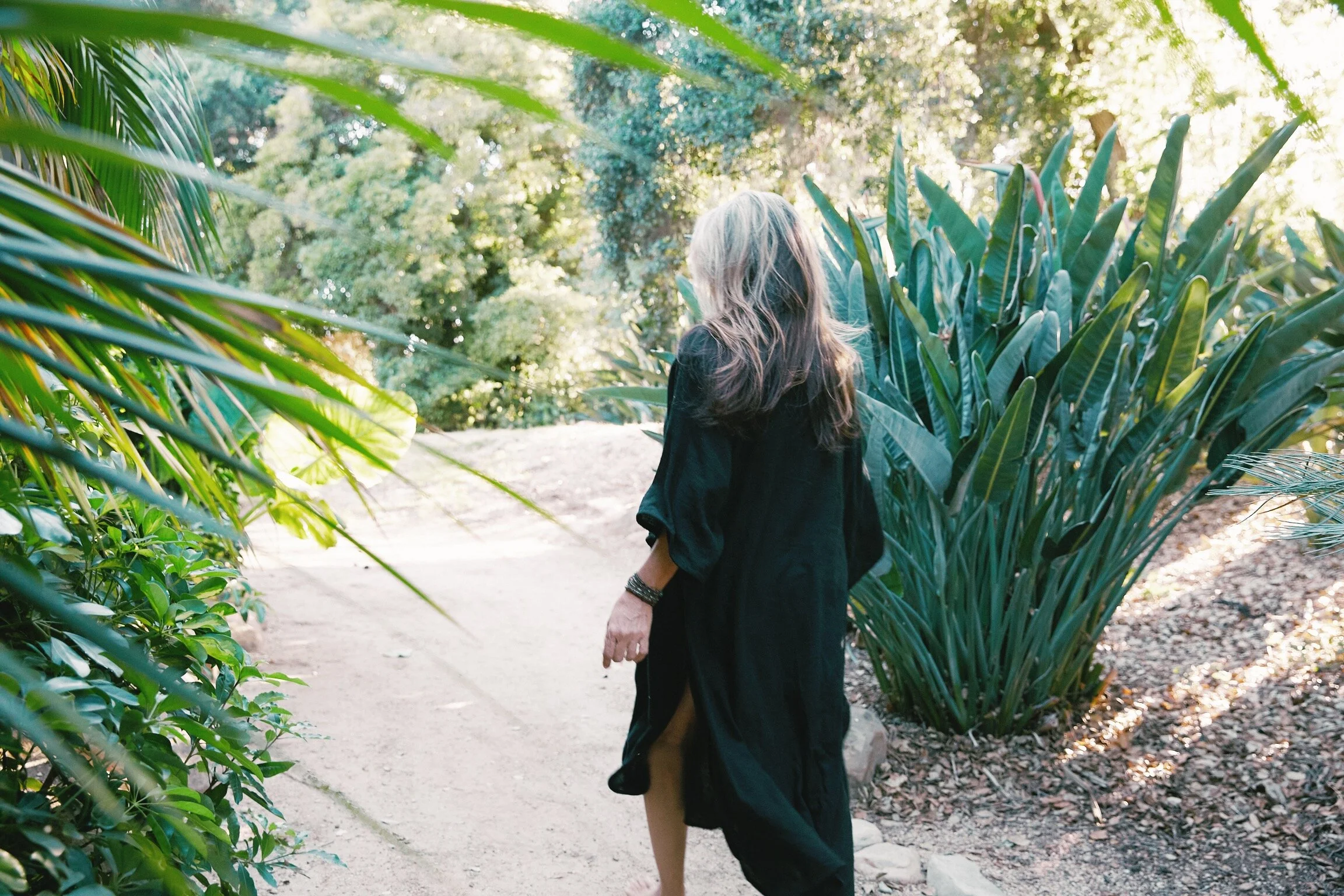 Intuitive Shop — Get Guru'd