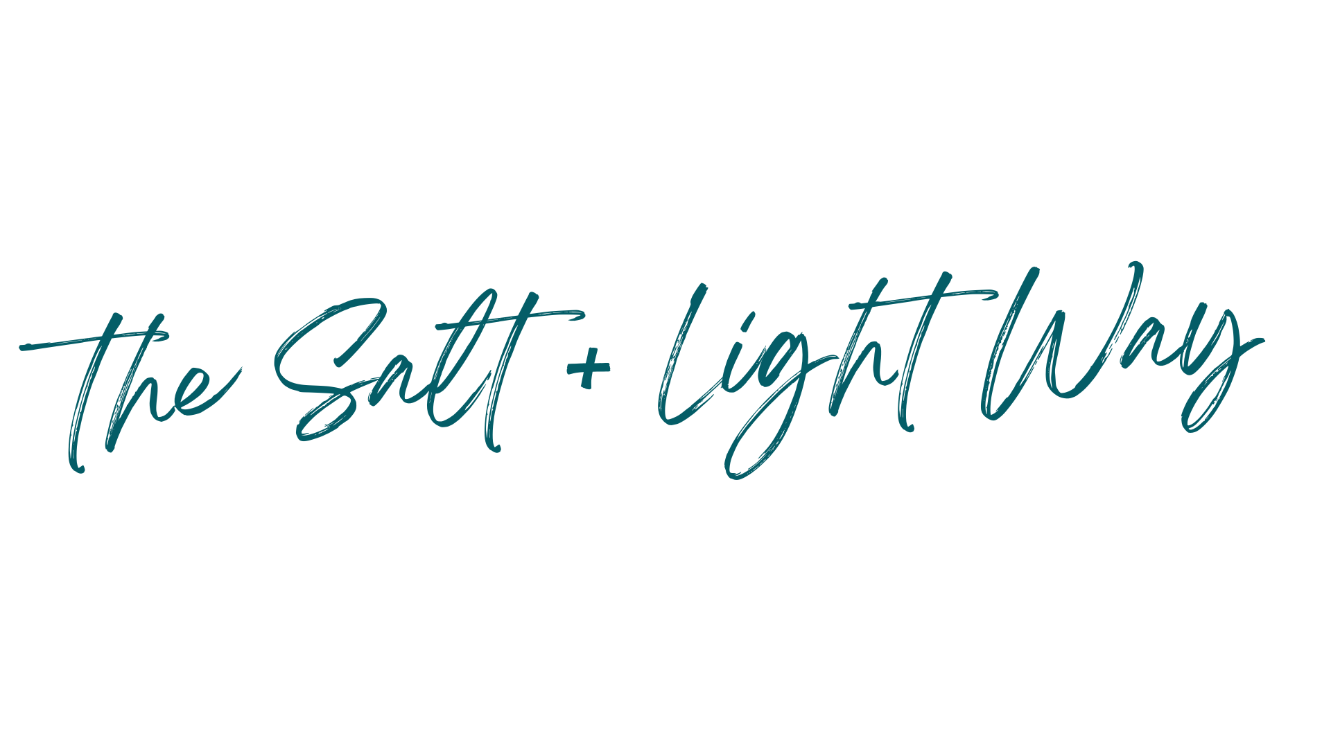 HOMELESSNESS 101 — Salt + Light