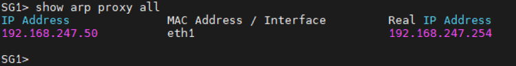 Check Point - Configuring Proxy ARP on non-VSX Gateways — WIRES AND WI.FI