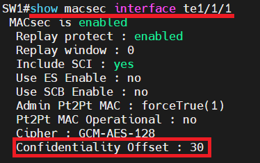 Cisco MACSec Advanced Switch-to-Switch Configuration — WIRES AND WI.FI