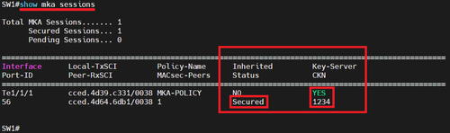 Cisco MACSec Switch-to-Switch Configuration using Pre-Shared Key on IOS-XE — WIRES AND WI.FI