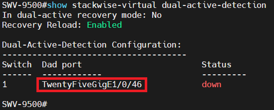 StackWise Virtual Switch Replacement (Standby Failed) — WIRES AND WI.FI