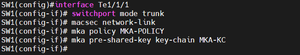 Cisco MACSec Switch-to-Switch Configuration using Pre-Shared Key on IOS ...