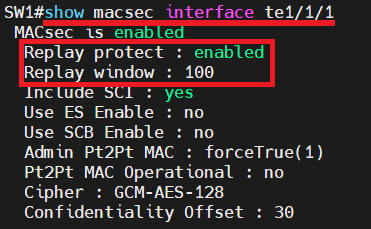 Cisco MACSec Advanced Switch-to-Switch Configuration — WIRES AND WI.FI