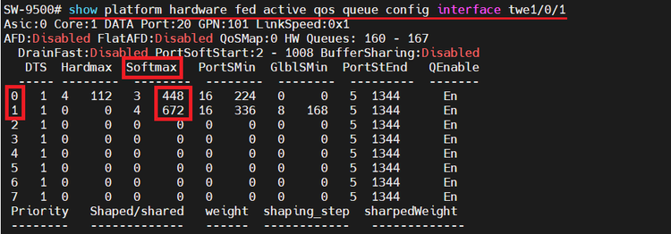Cisco Catalyst 9K Output Drops Quick Fix — WIRES AND WI.FI