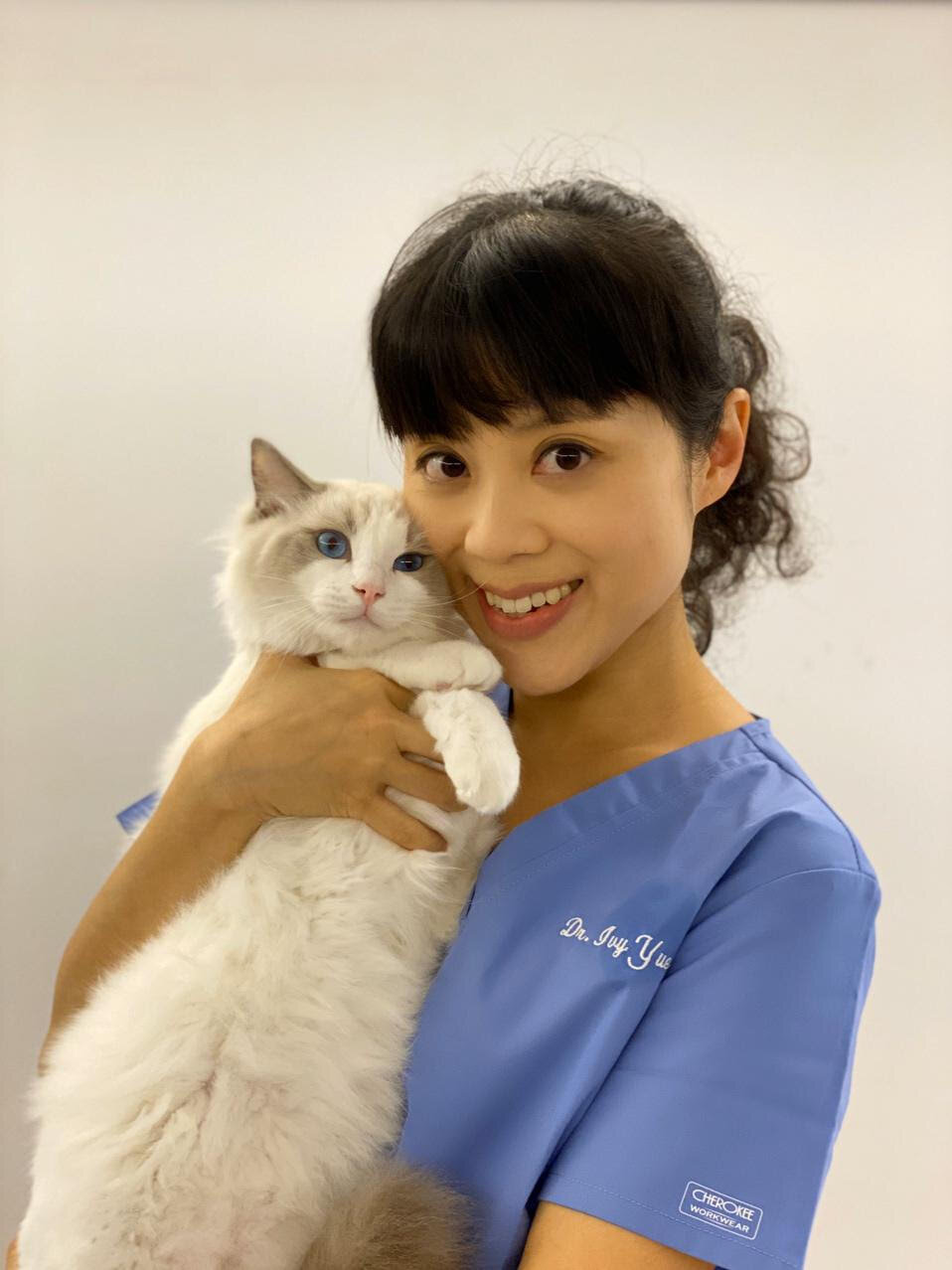 獸醫團隊 — Hong Kong Island Veterinary Clinic | 港島獸醫診所