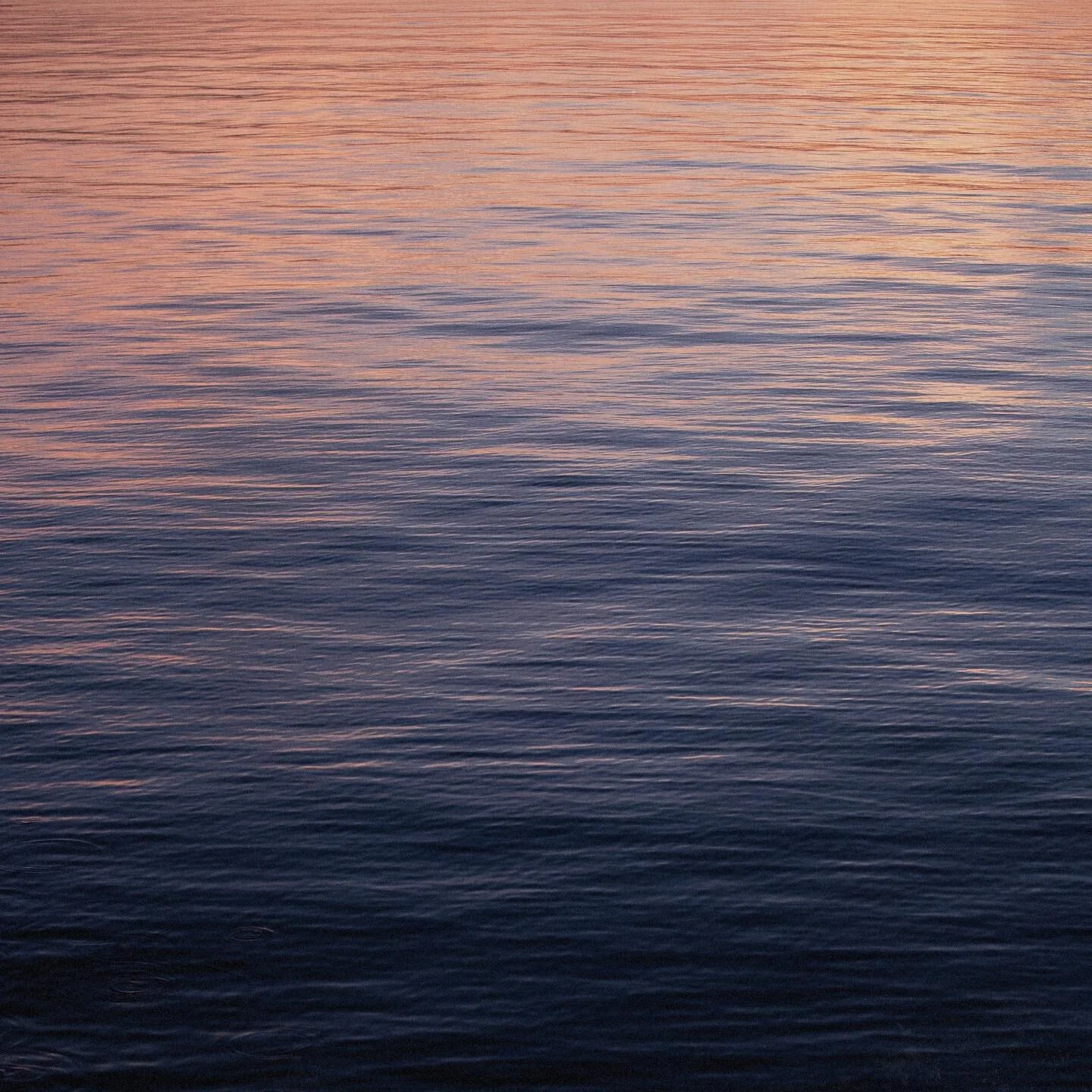 Retro Jungle Records