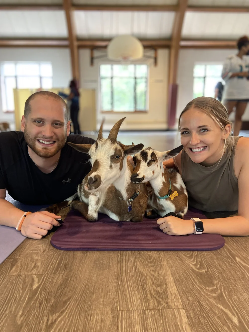 Goat Yoga — Beth A. Wolfe