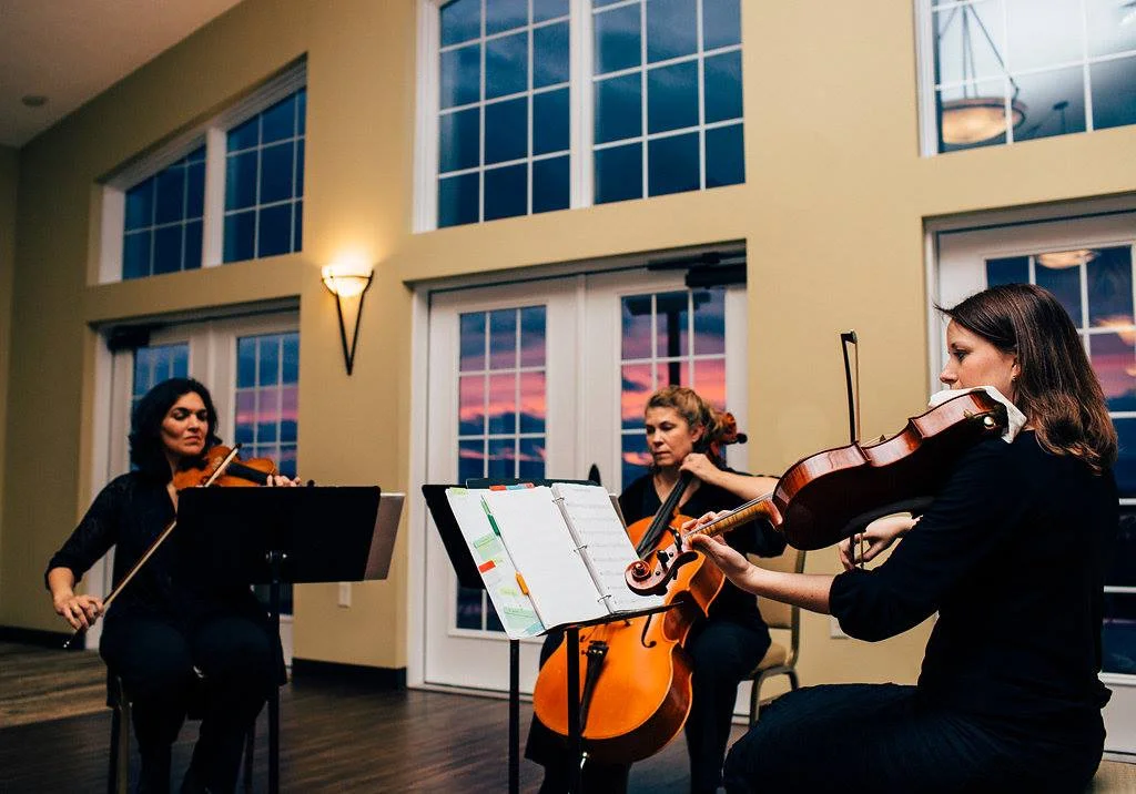 Wedding Strings - The Bloom Trio