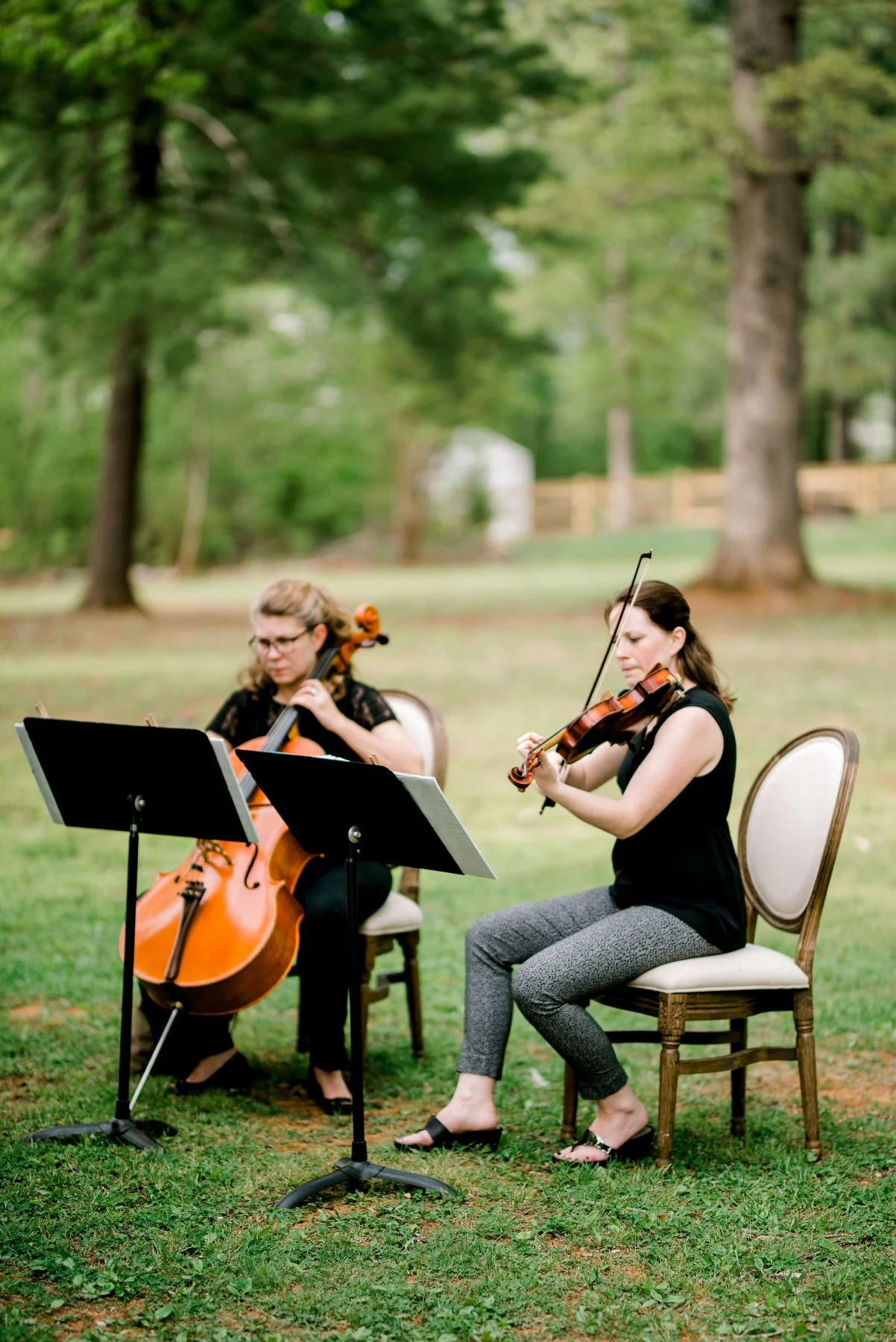 Wedding Strings - The Bloom Trio