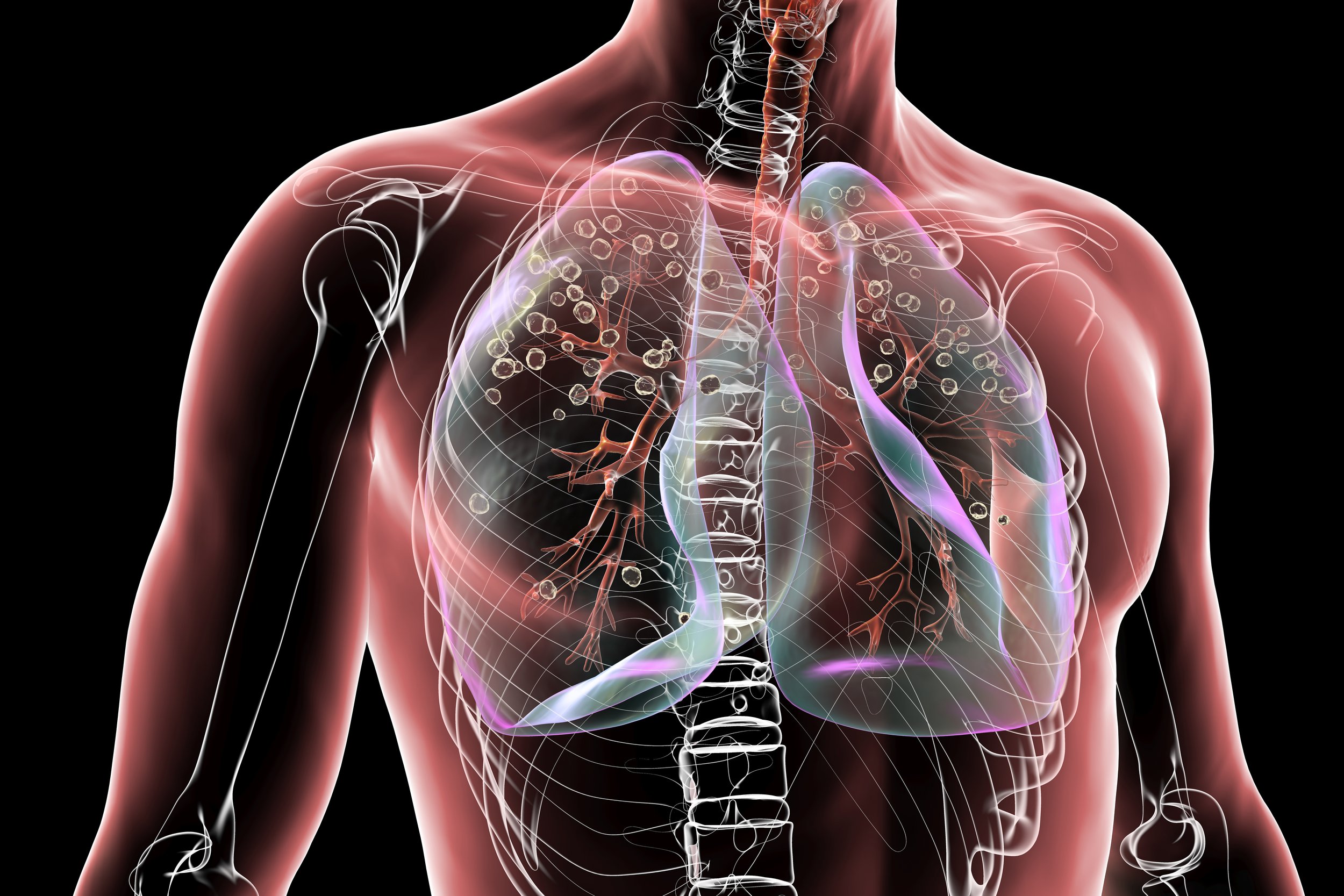 Silica Testing | Clarity Testing | Tarrytown & Long Island City, NY