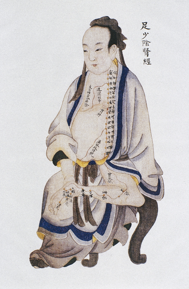 Acupuncture Channels — Santa Clara Acupuncture