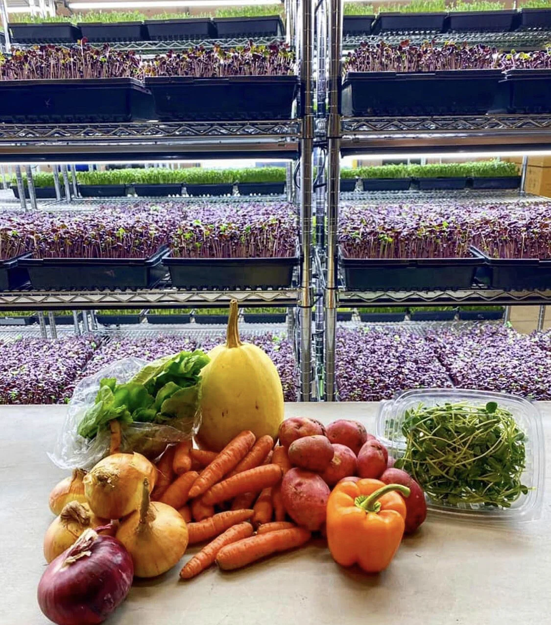 Order Now — Micro Acres