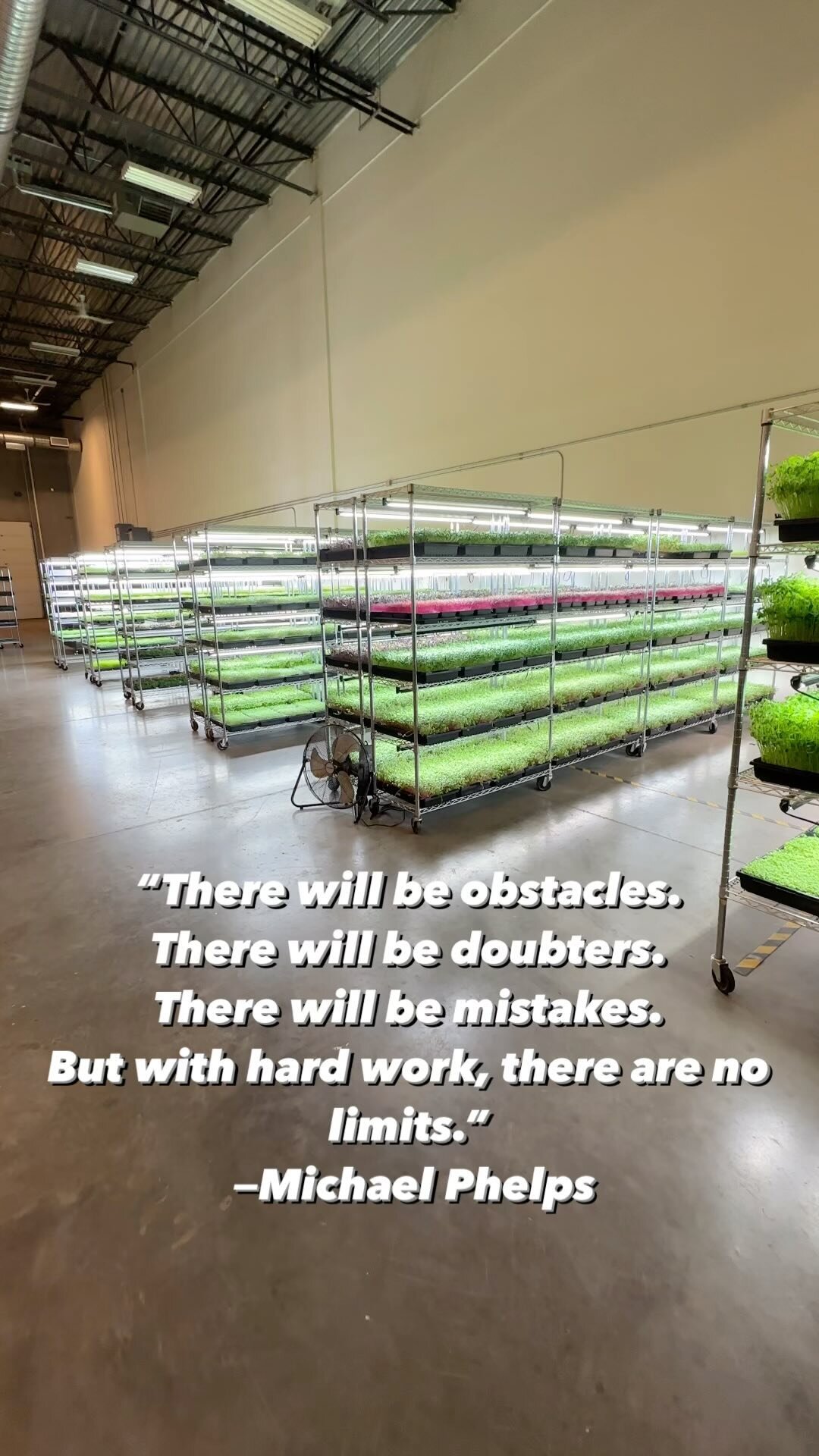 Gallery — Micro Acres