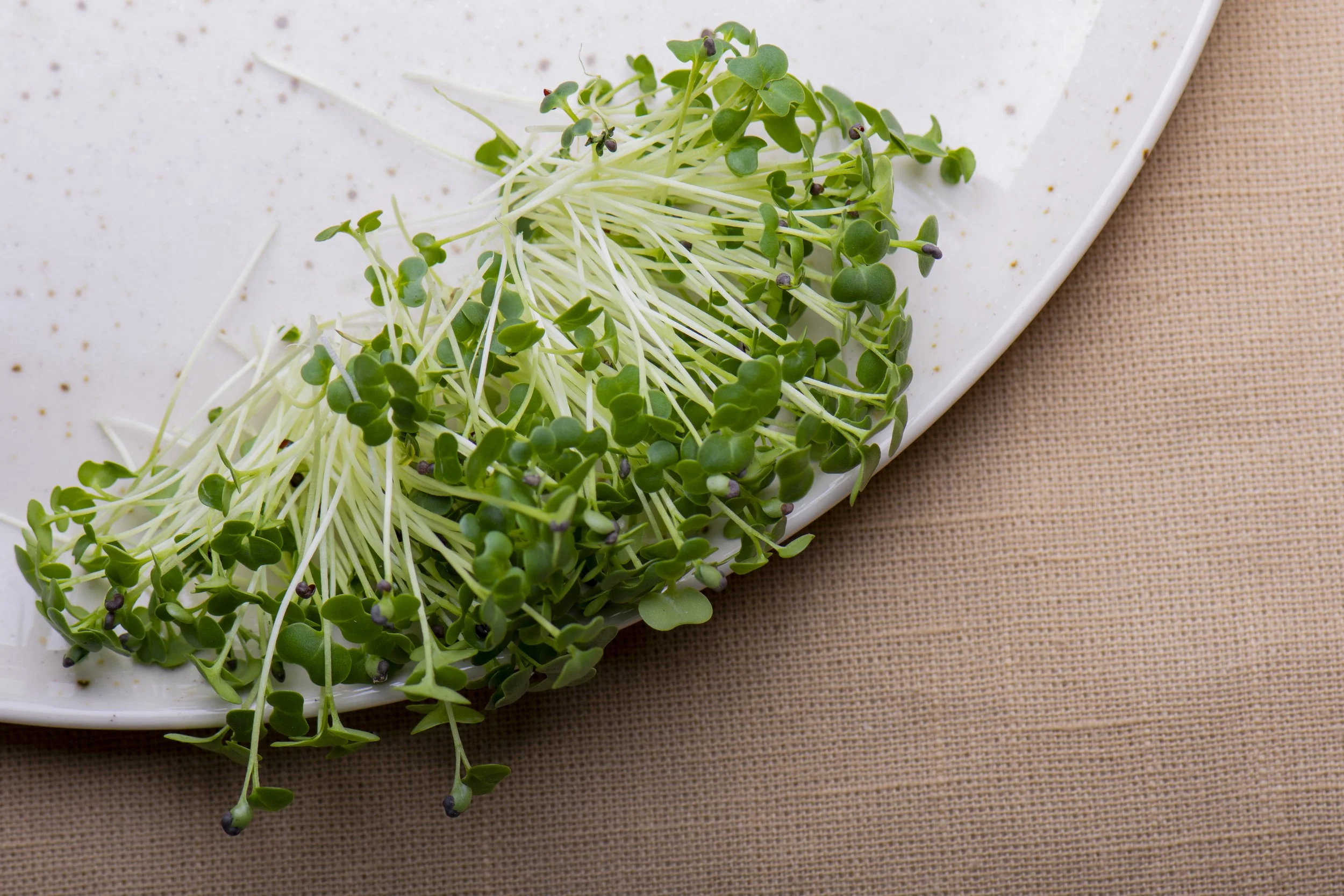 Microgreens — Micro Acres