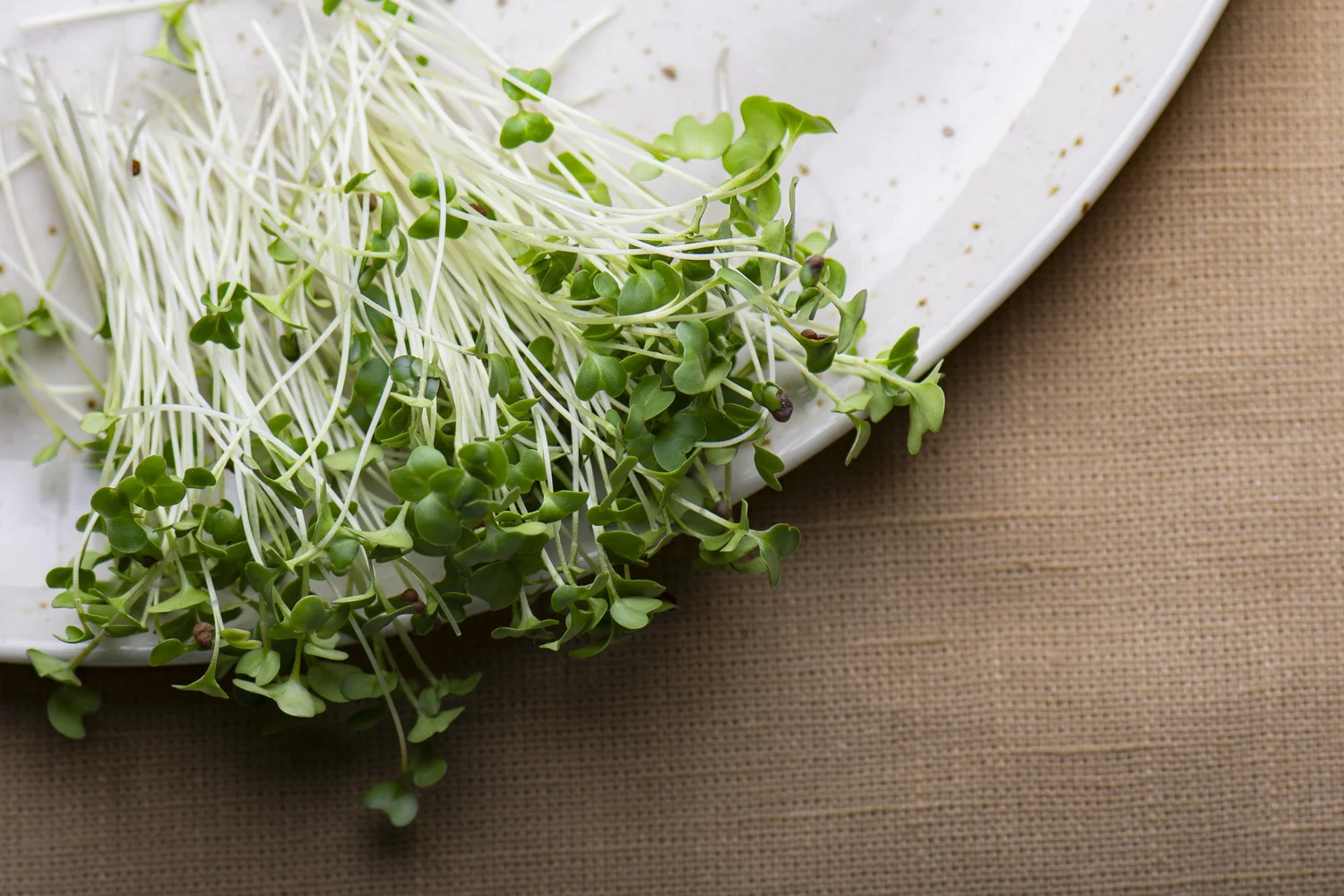 Microgreens — Micro Acres