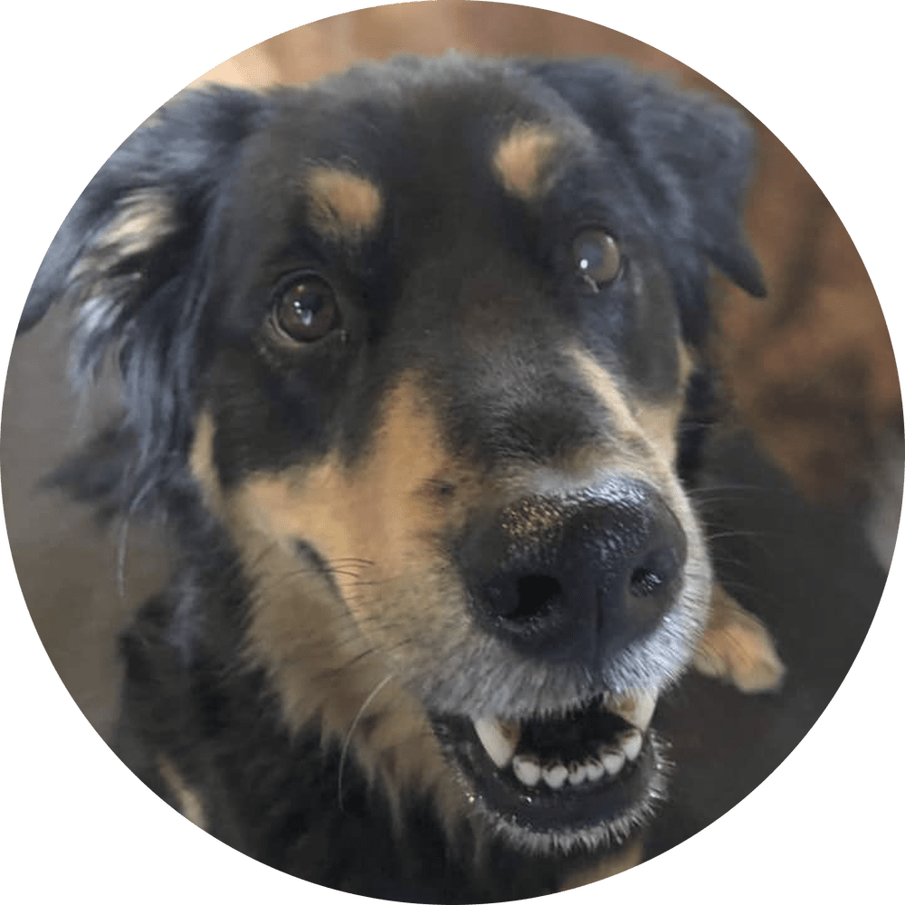 About Curran and Company — Curran and Company