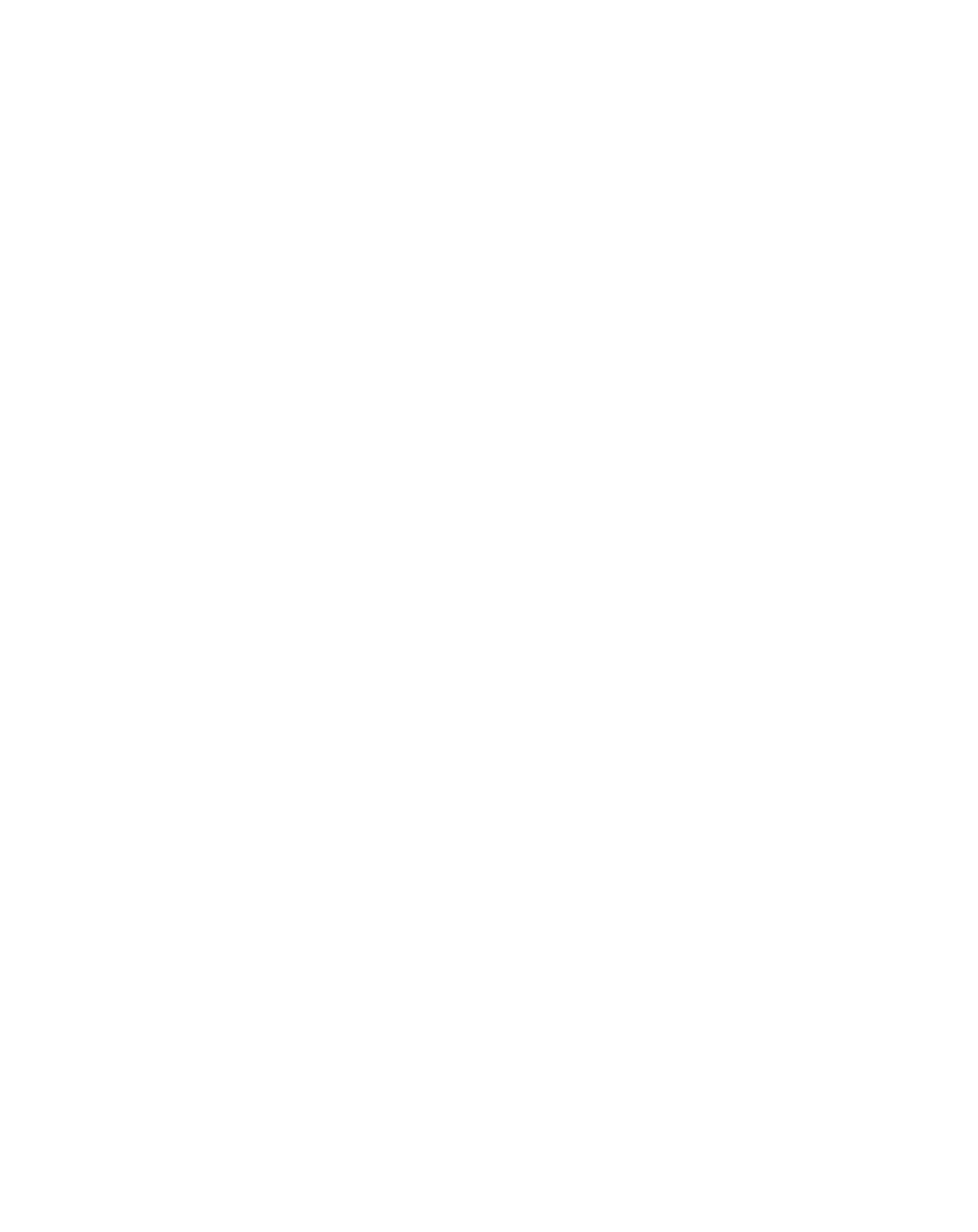 Feline Friends Network