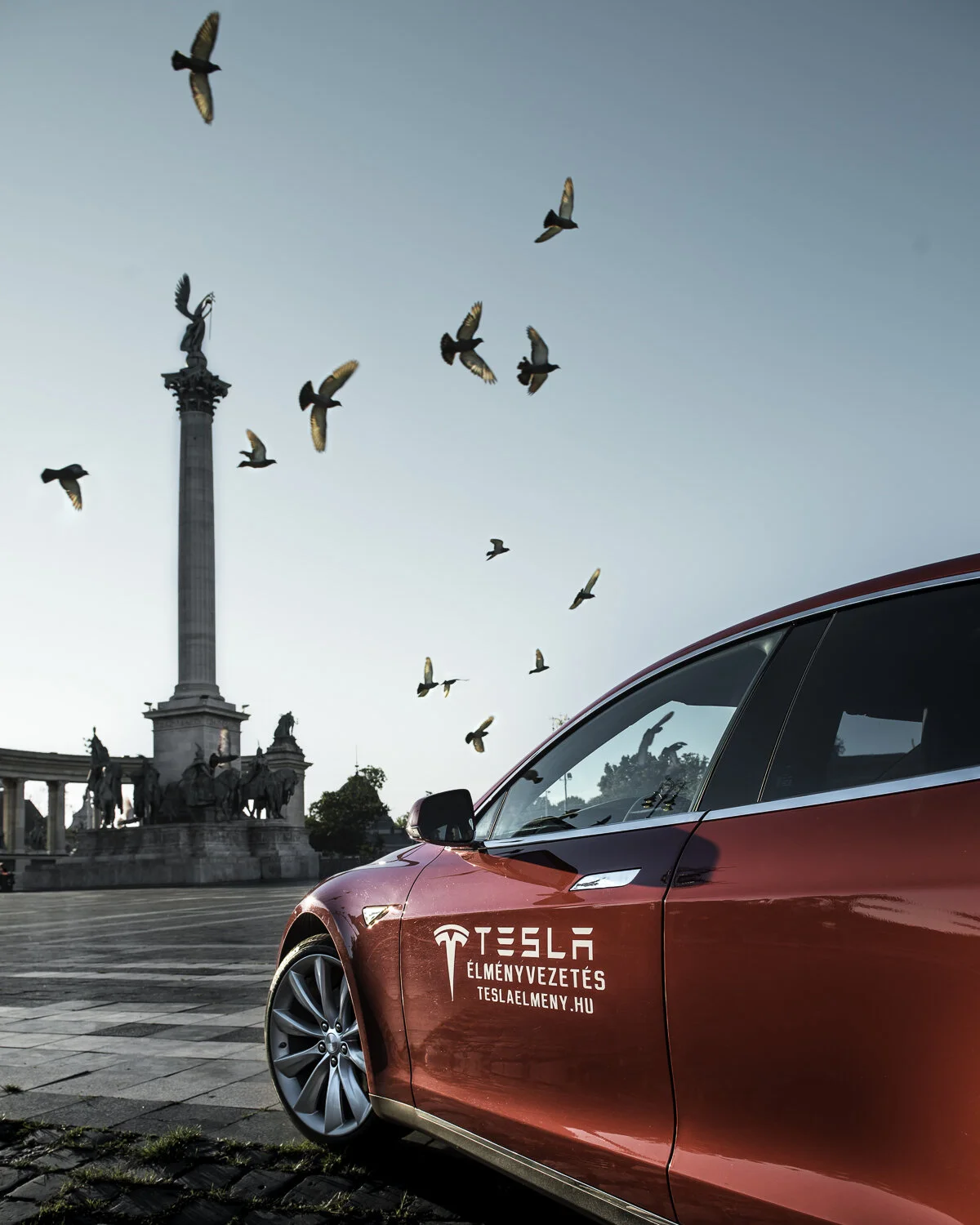 Tesla Driving Experience — ANNA ILLES