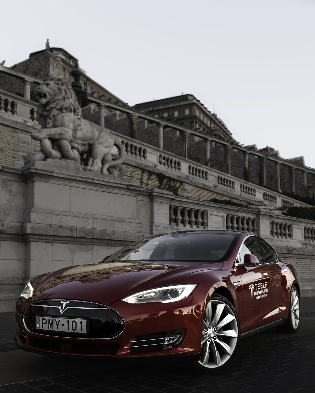 Tesla Driving Experience — ANNA ILLES