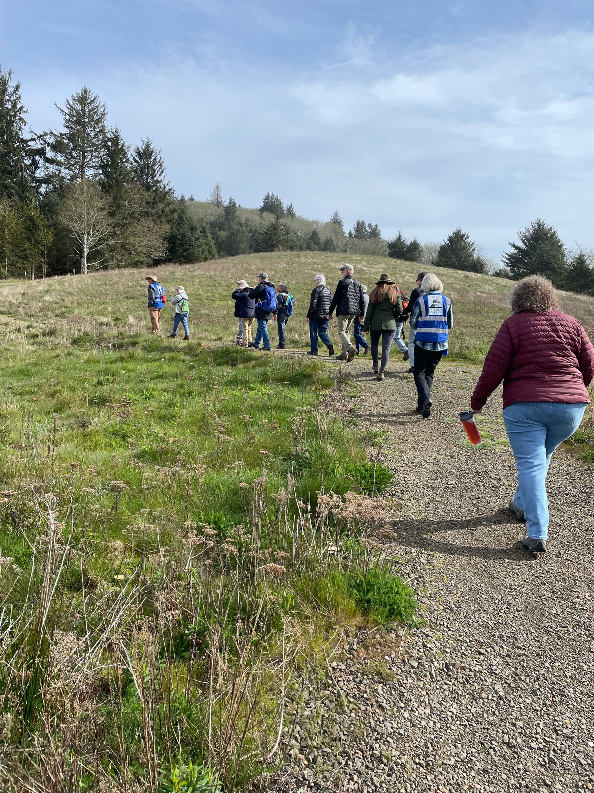 Bald Eagle Screensavers Winter