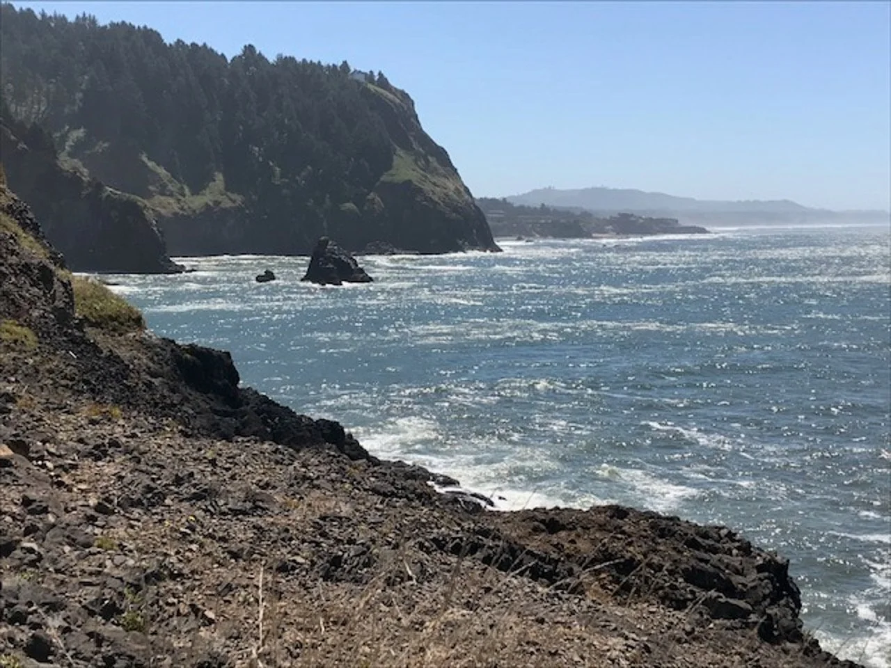 Cape Foulweather — Seven Capes Bird Alliance