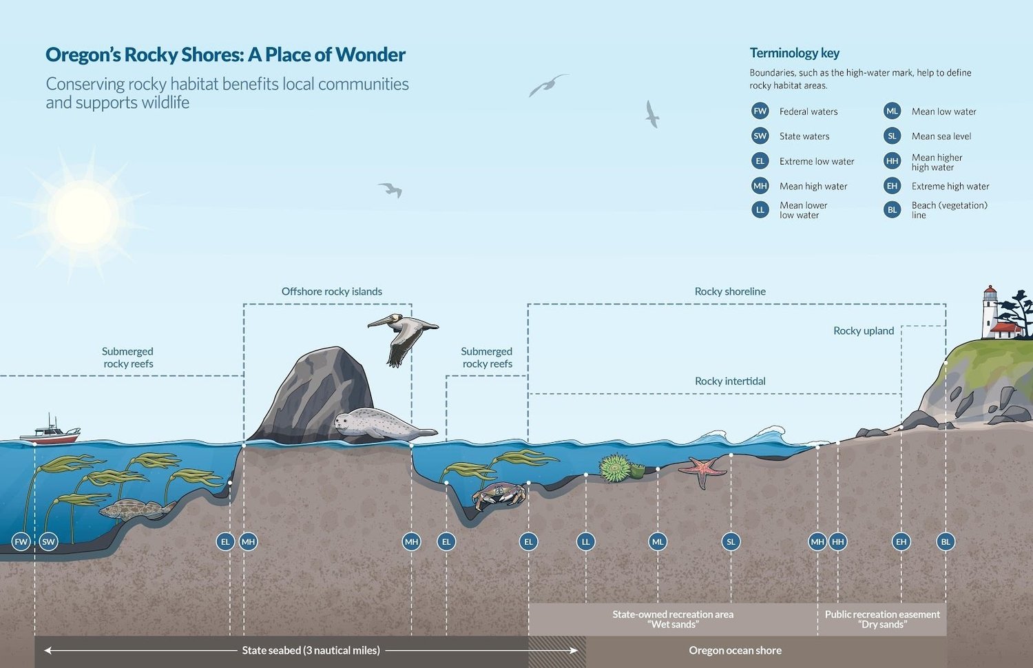 Rocky Habitat FAQ — Seven Capes Bird Alliance