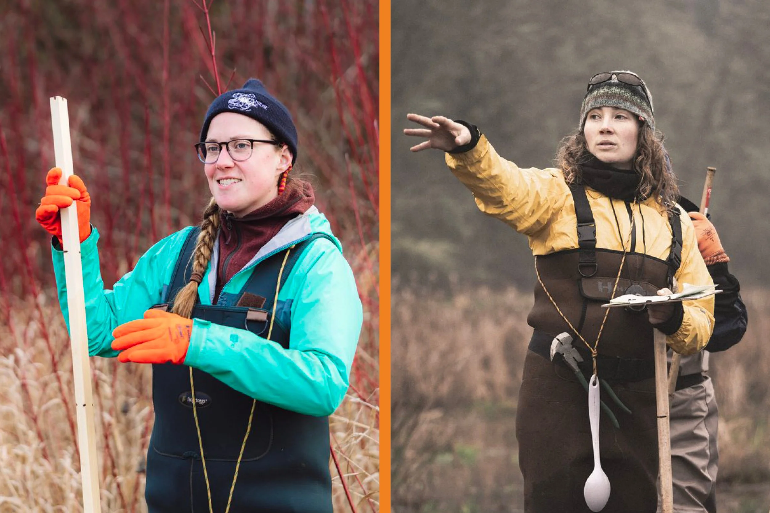 Beavers: The Beautiful Messes They Create and Our Creative Solutions ...